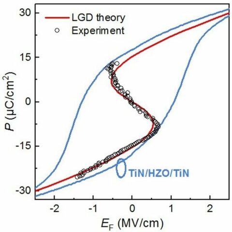 Negative Capacitance Devices | NaMLab gGmbH